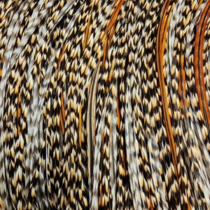 Tiger Stripe Feather Hair Extensions, RARE Whiting Farms Feathers - Etsy