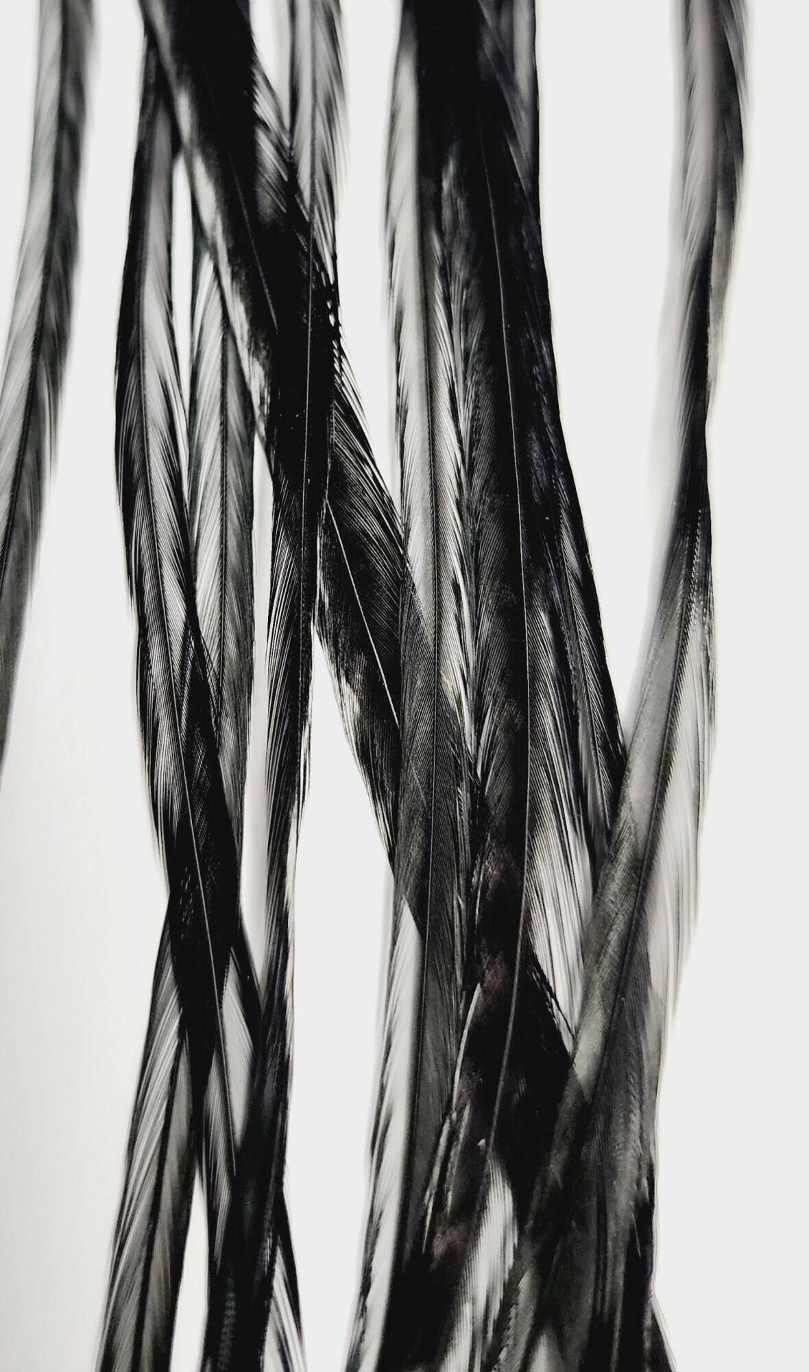 Midnight Black Feather Hair Extensions With Crimp Beads - Etsy