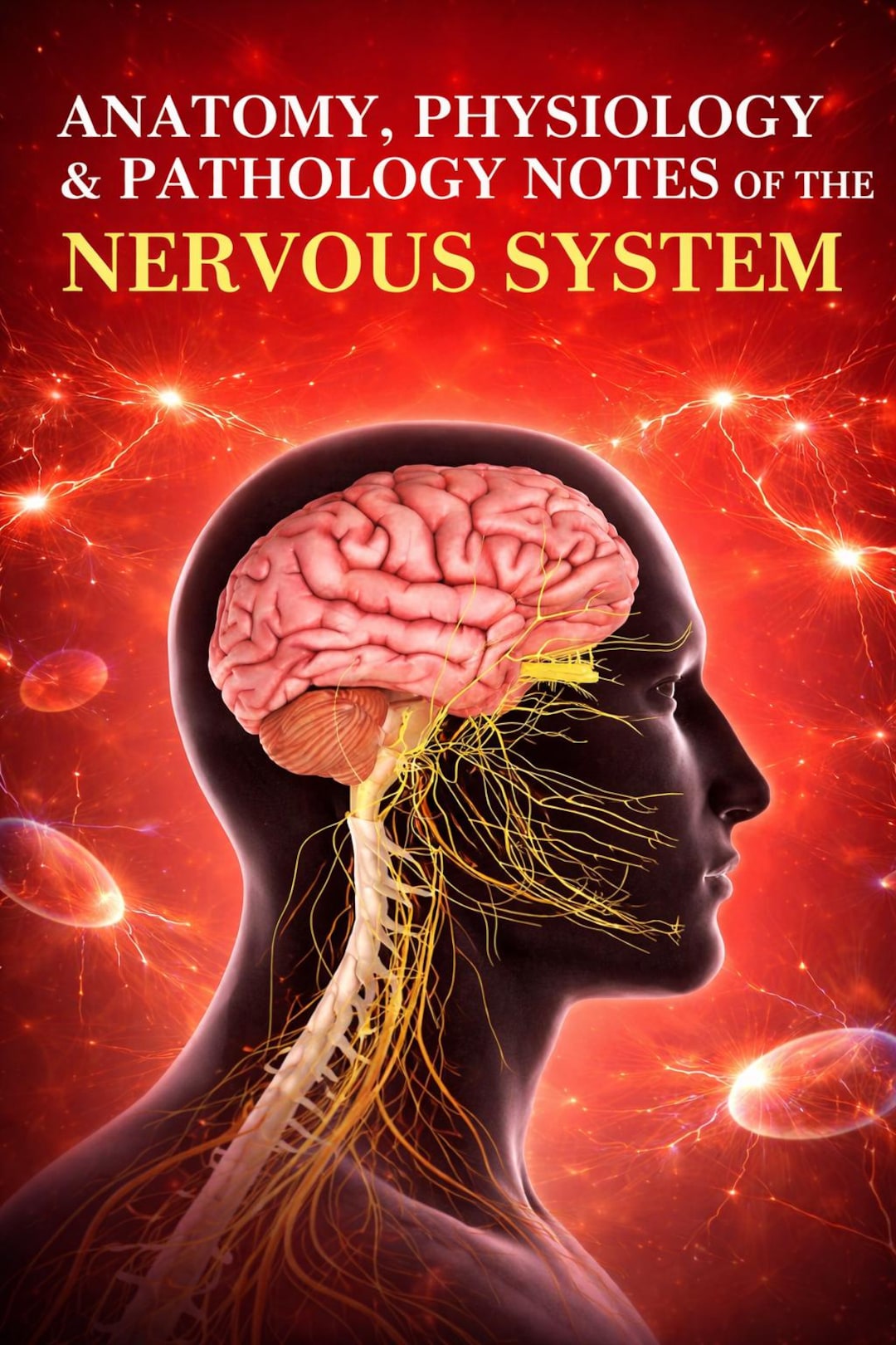 Nervous System Notes PDF | Anatomy Physiology Brain Nerves (digital ...
