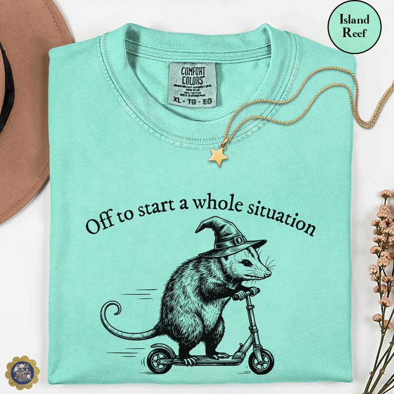 Comfort Colors Opossum T-Shirt, sarkastischer Humor Tee - Etsy Schweiz