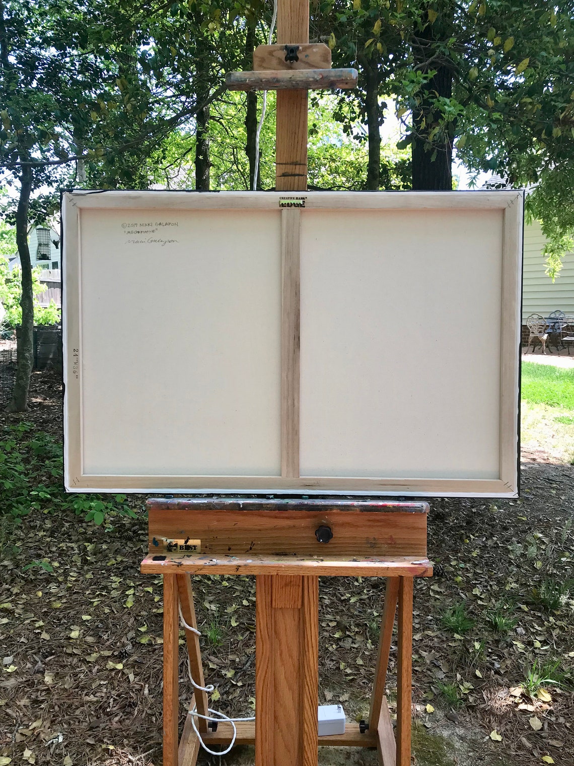 Megaphone: Original Painting 24x36 Acrylic and - Etsy