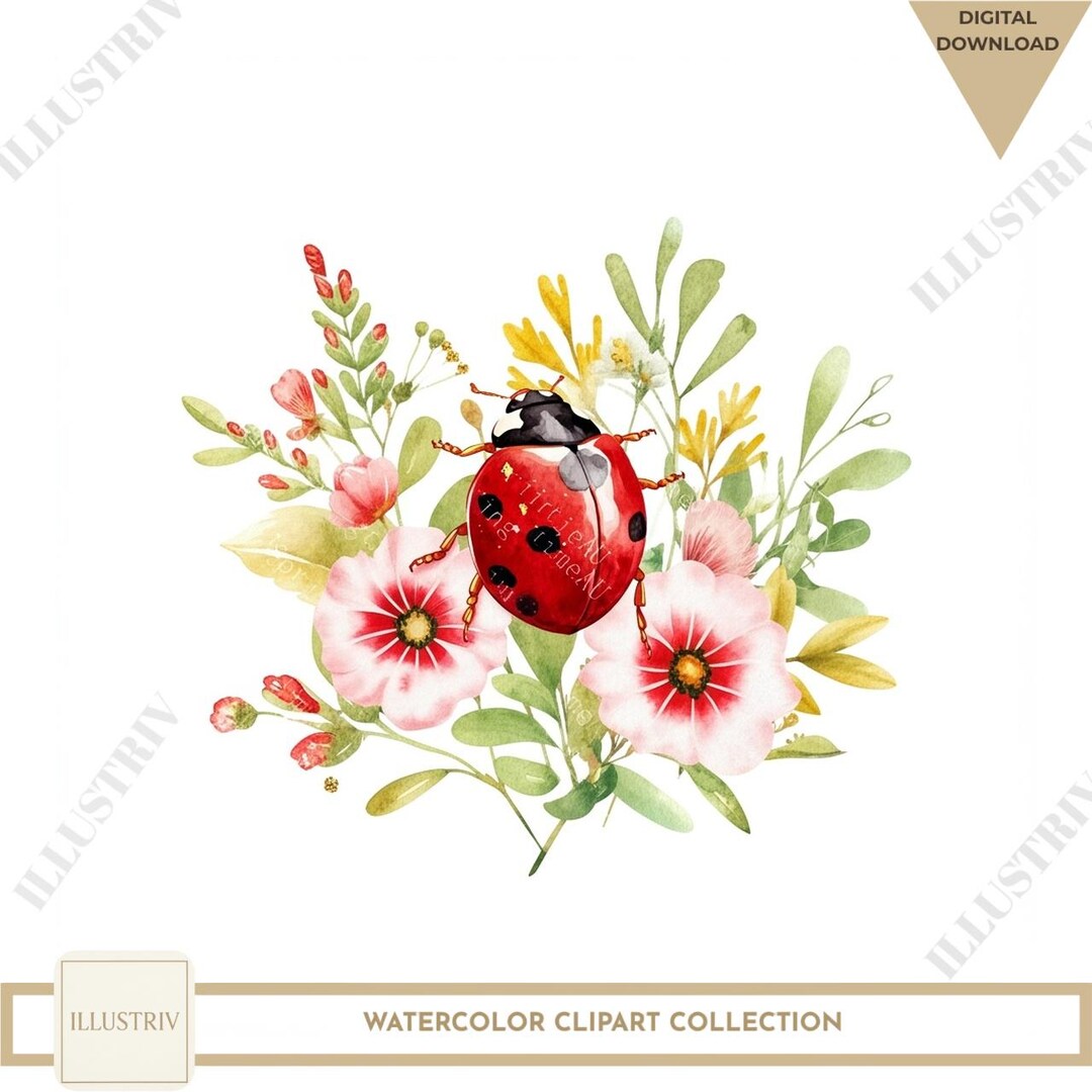 16 Floral Ladybug Clipart, Cute Lady Bug, Spring Art, Printable ...