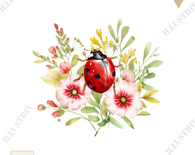 34 Floral Ladybug Watercolor Clipart PNG & SVG, Nursery Art, Paper ...