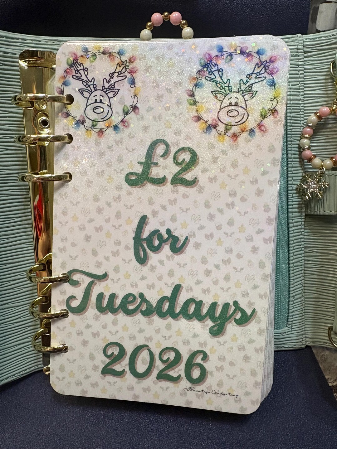 Sparkly Reindeer Budget Planner, 2026 Dashboard, Vellum Wallet Set ...