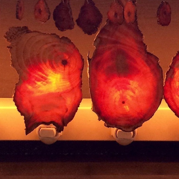 Live Edge Lighting - Etsy