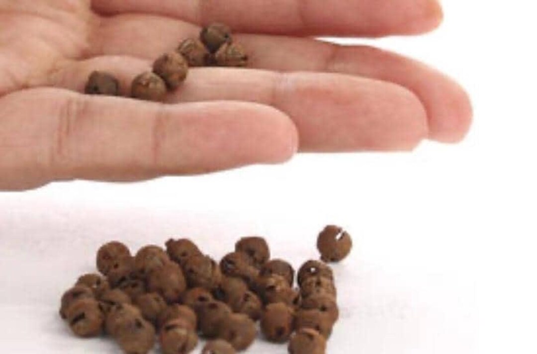 Micro Mini Rusty Tin Jingle Bells-set of 12 - Etsy