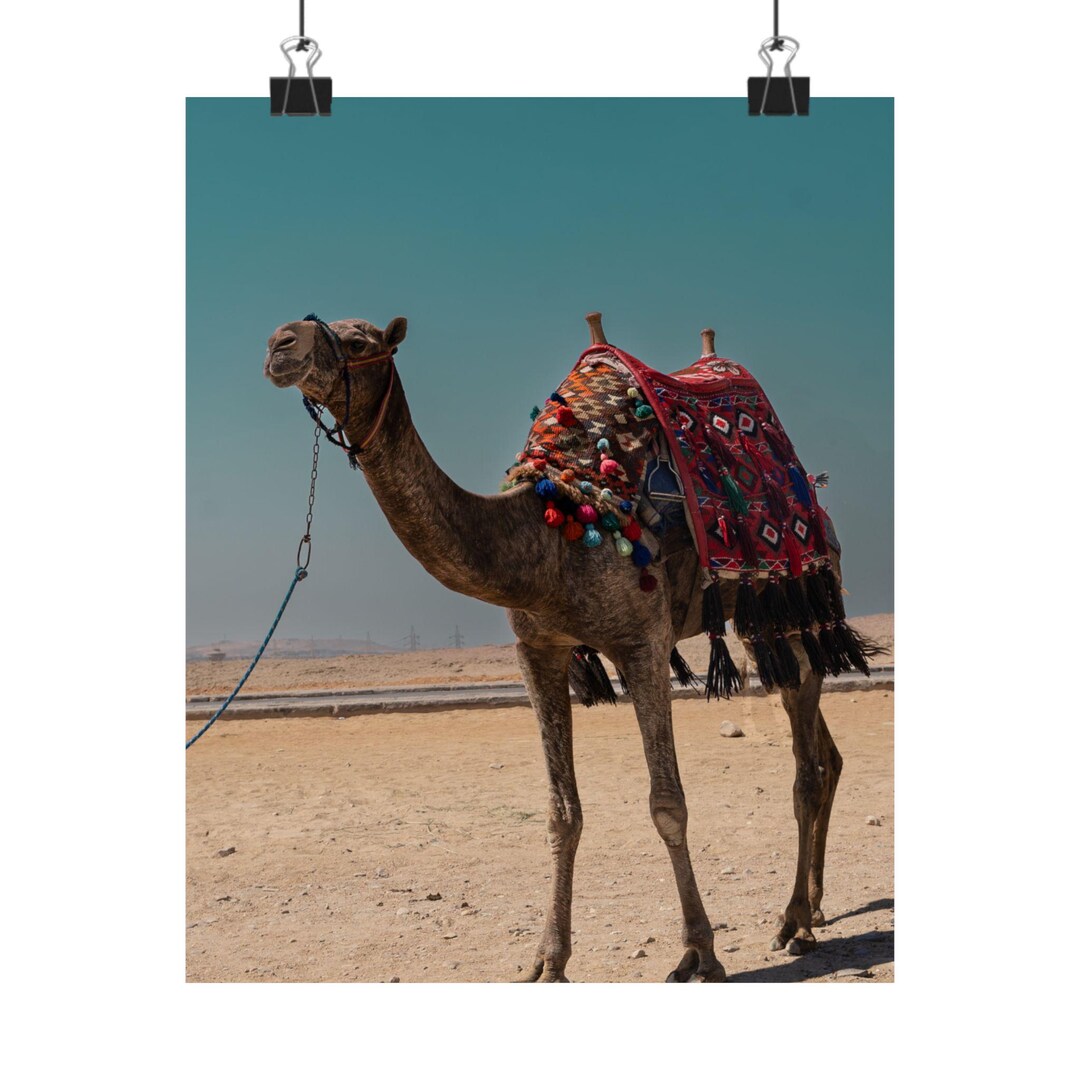 Camel Adventure Matte Vertical Poster, Wall Art, Desert Decor, Home ...