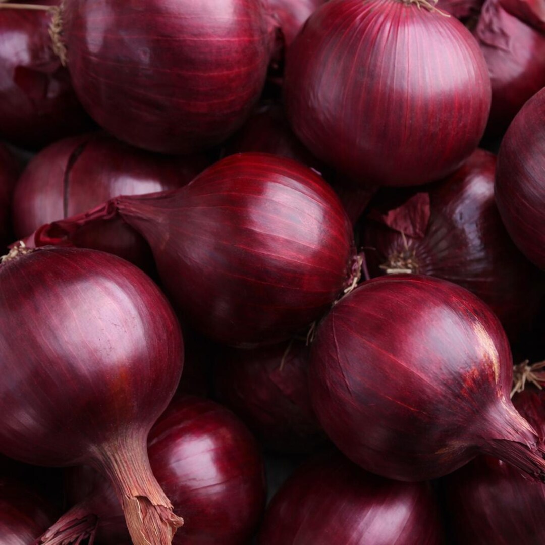 Red Grano Onion Seeds - Etsy