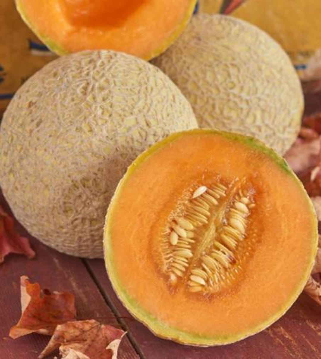 Hearts of Gold Melon Seeds - Etsy