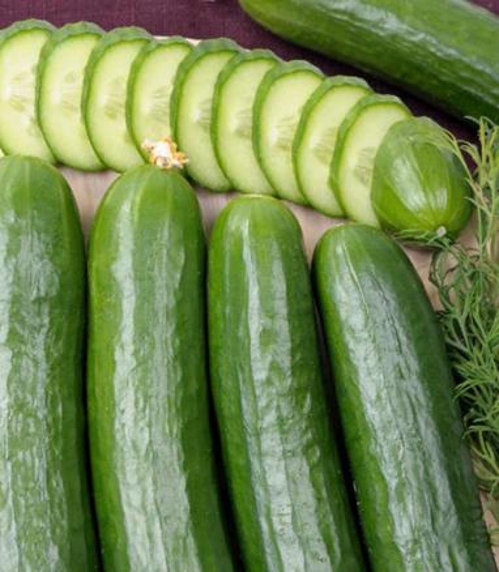 Vegetable Seed Diva Cucumbers Seeds for Planting F1 Hybrid Burpless ...