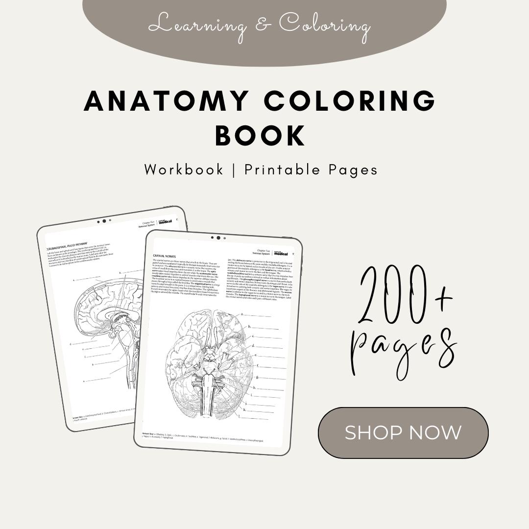 Anatomy Coloring Book | Human Body Coloring Workbook | Relaxing ...
