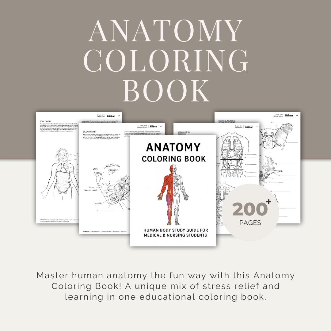 Anatomy Coloring Book | Human Body Coloring Workbook | Relaxing ...
