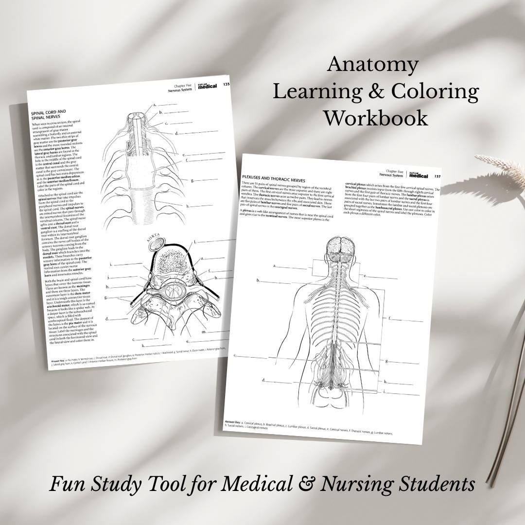 Anatomy Coloring Book | Human Body Coloring Workbook | Relaxing ...