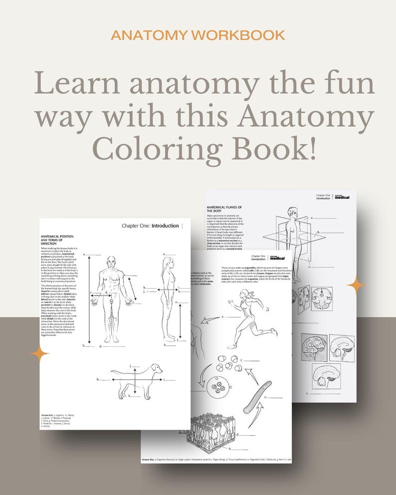 Anatomy Coloring Book | Human Body Coloring Workbook | Relaxing ...