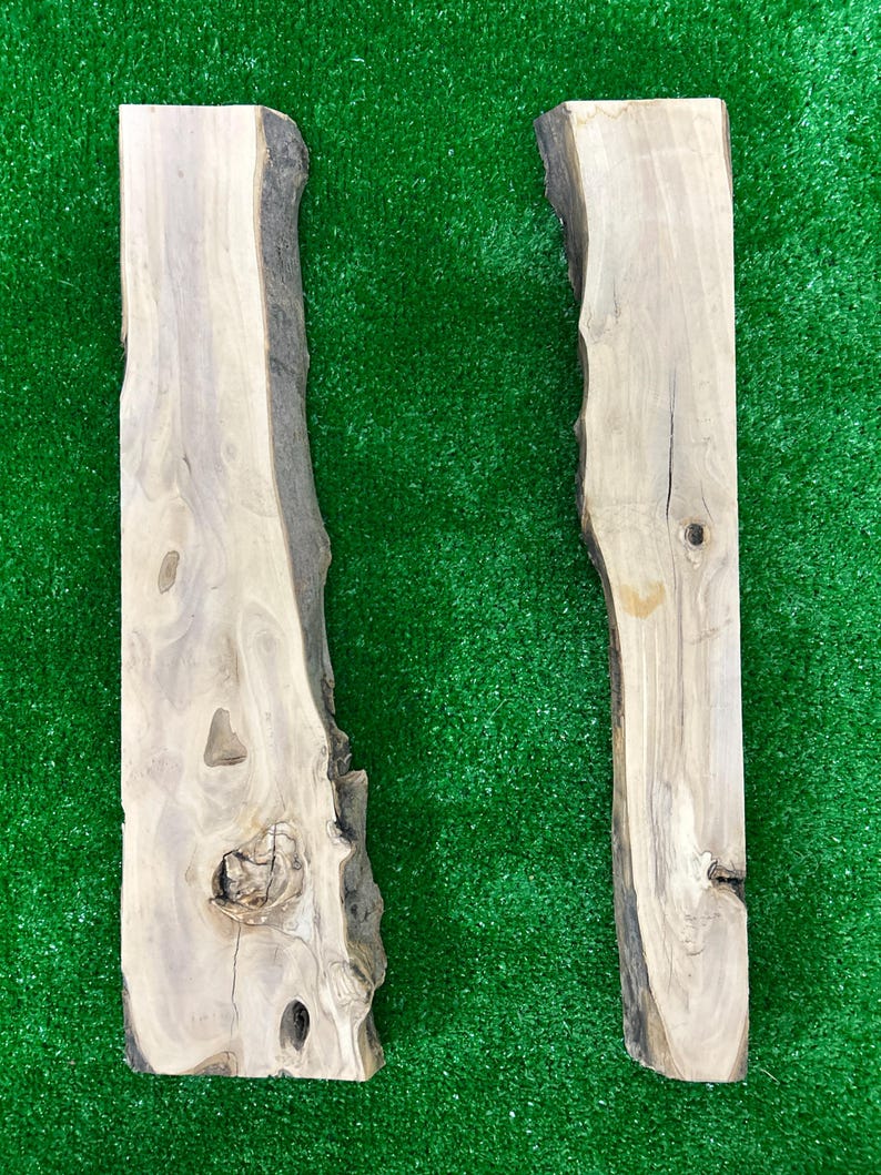 2 Pieces 18" Olive Wood Slabs for DIY Art | Live Edge Raw Edge ...
