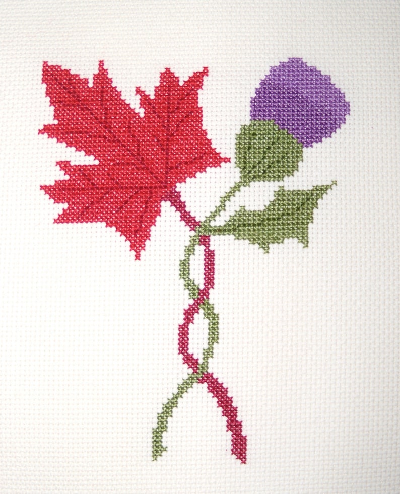 Thistle & Maple Leaf Cross Stitch Pattern - Etsy
