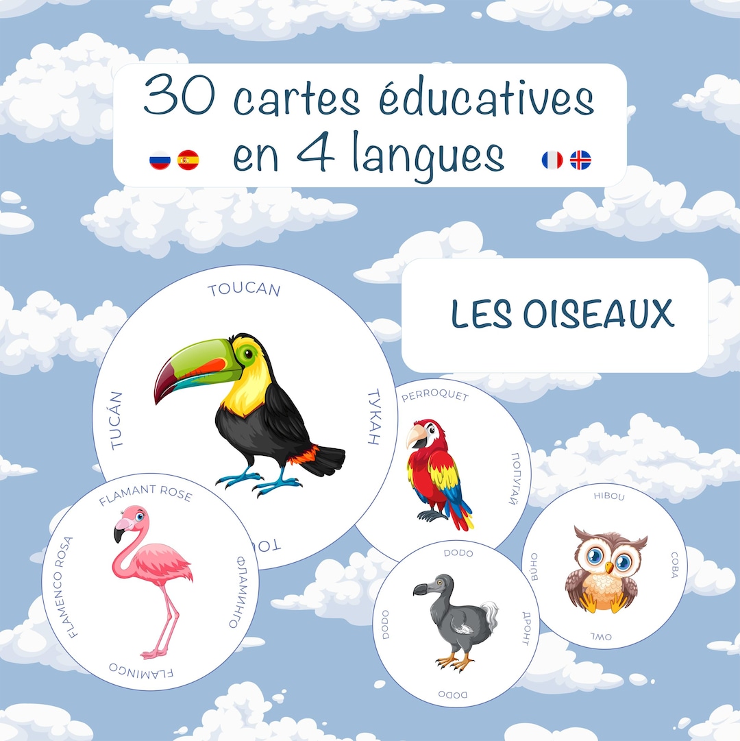 Printable Educational Cards – Birds in 4 Languages (french, English ...