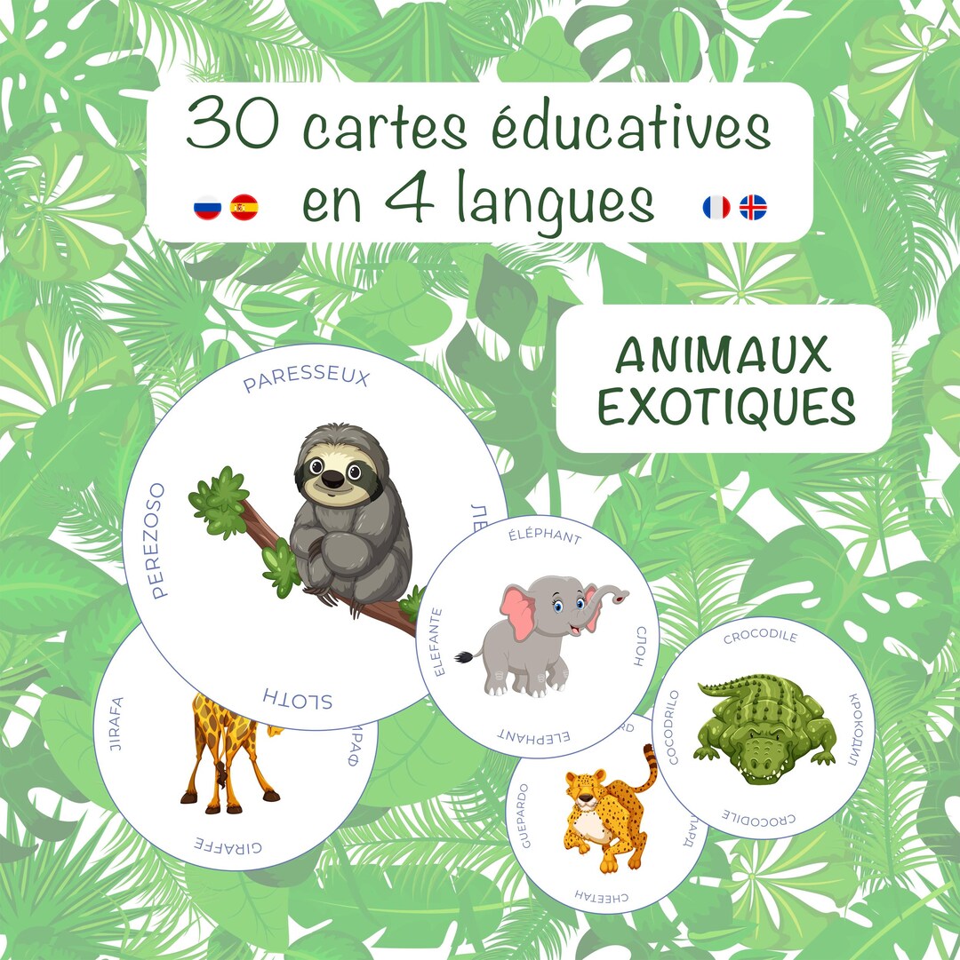 Multilingual Exotic Animal Cards (french, English, Spanish, Russian ...