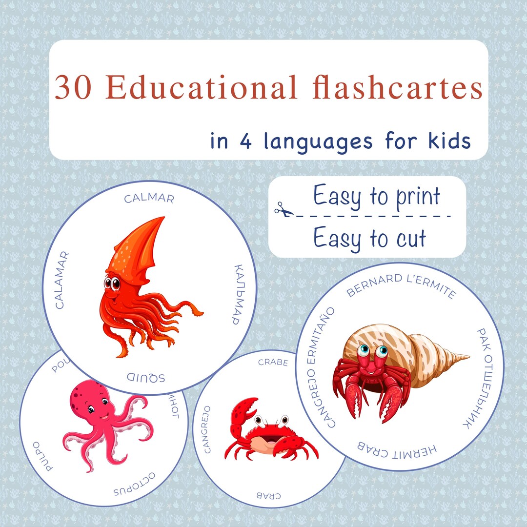 Printable Sea Animals Flashcards for Kids | 30 Animals in 4 Languages ...
