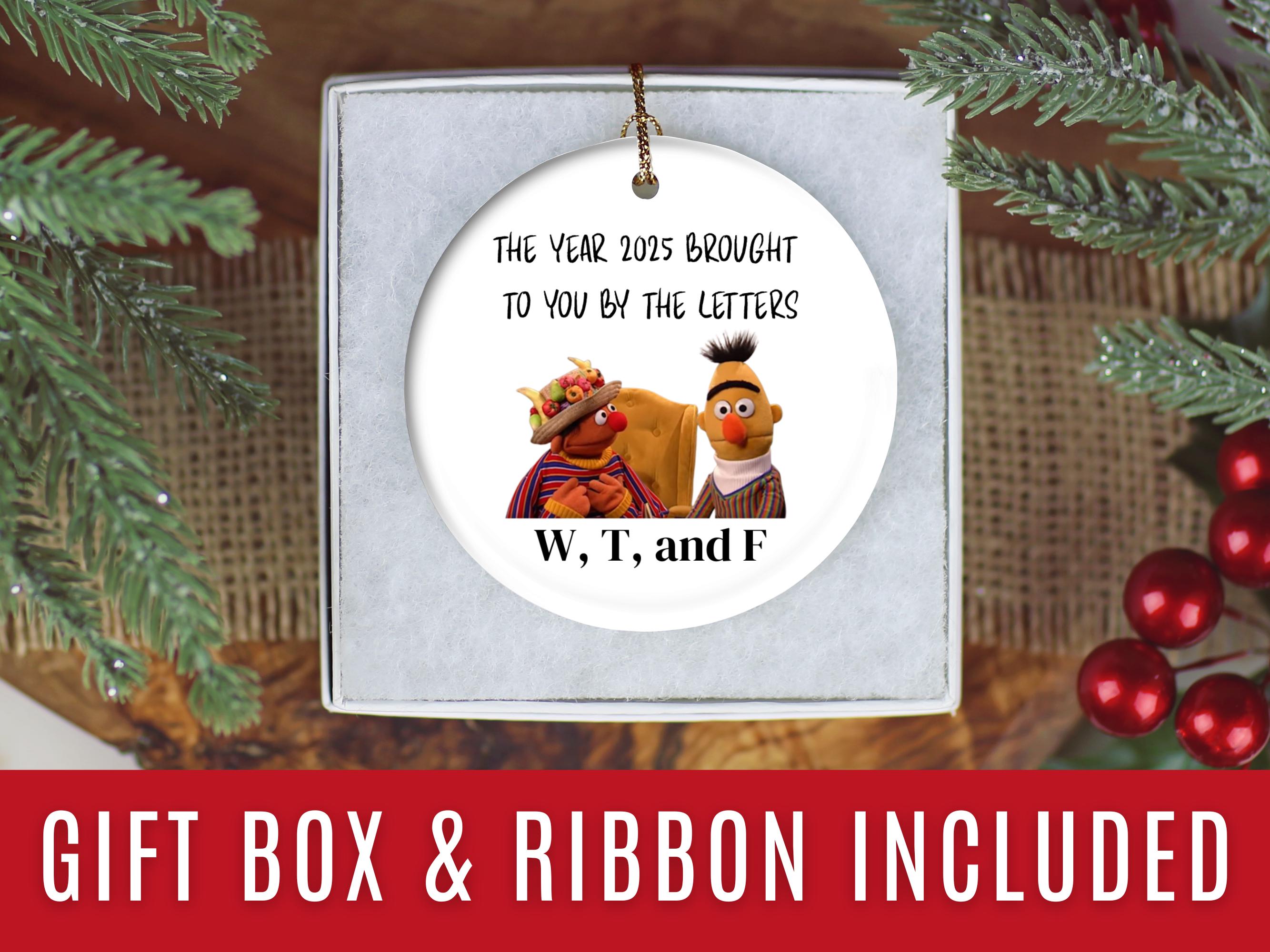 Funny WTF Christmas Ornament — Snarky 2025 Humor - Etsy