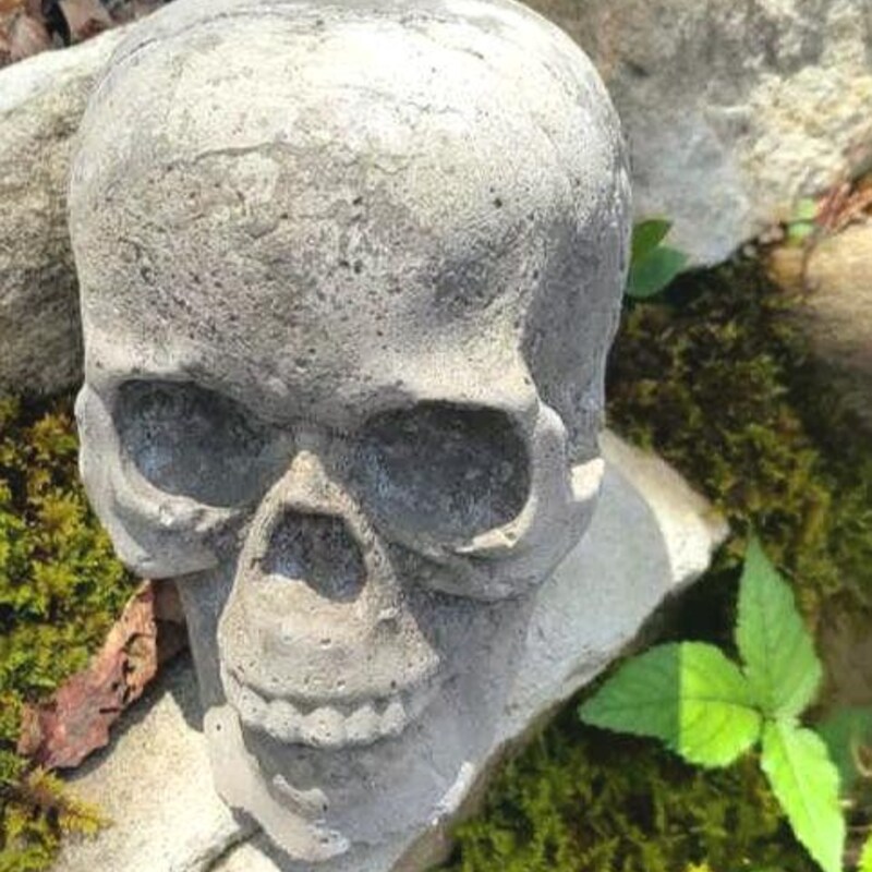 Concrete Skulls - Etsy