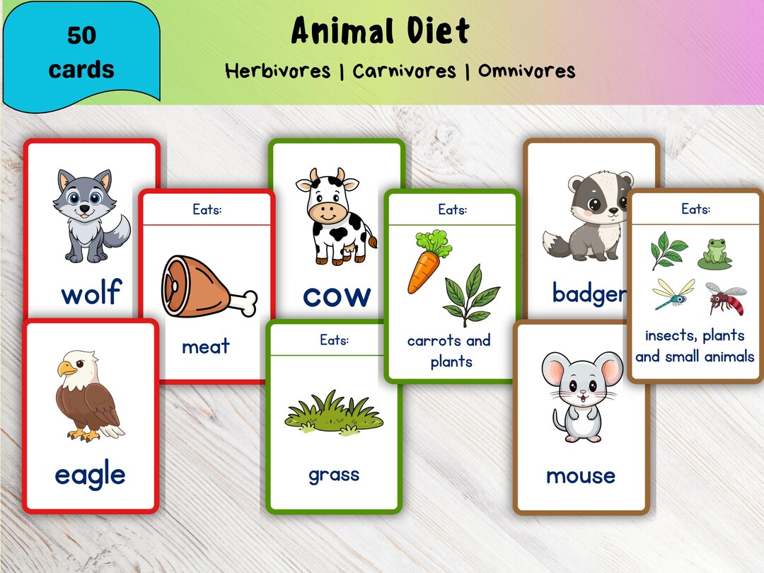 Herbivore, Carnivore, Omnivore | Animal Diet | Grade 1 Science ...