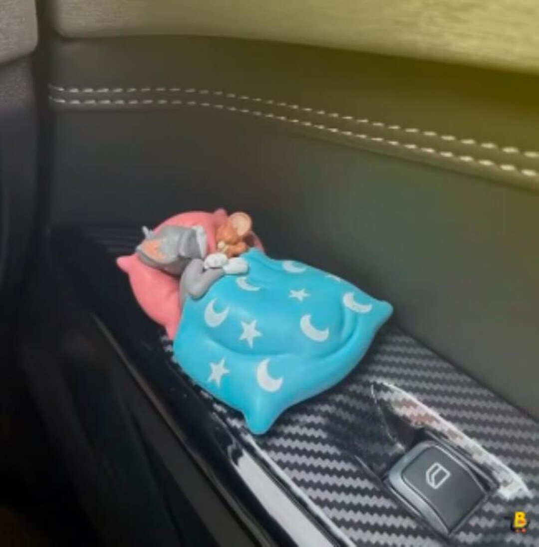Sleeping Tom and Jerry Car Decor Cute - Etsy