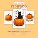 Halloween Pumpkins - 9 Digital Images - Etsy
