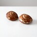 Vintage Large Snail Shells, Brown Sea Shells, Beach House Decor - Etsy