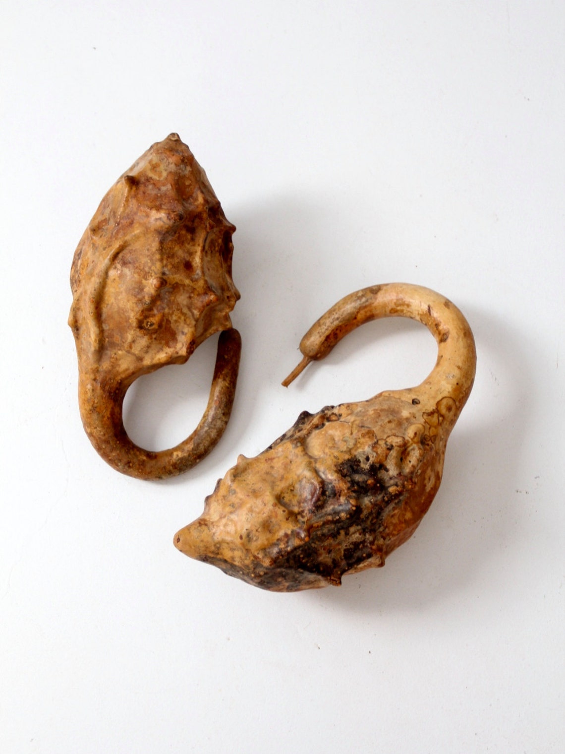 Vintage Gourds Pair Maranka Cave Man's Club Gourd or | Etsy