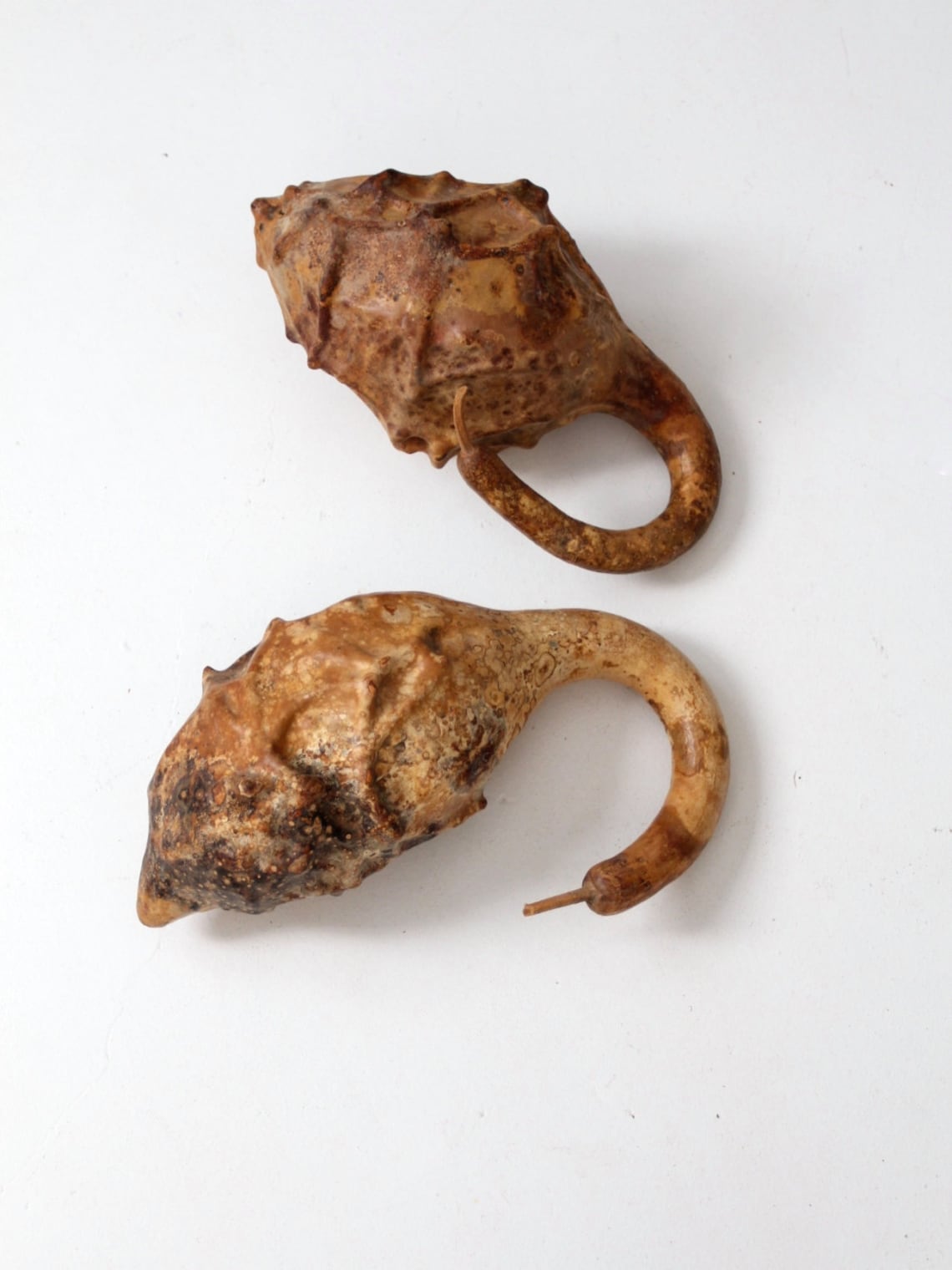 Vintage Gourds Pair Maranka Cave Man's Club Gourd or - Etsy