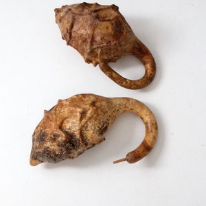 Vintage Gourds, Pair Maranka Cave Man's Club Gourd or Dolphin Gourds - Etsy