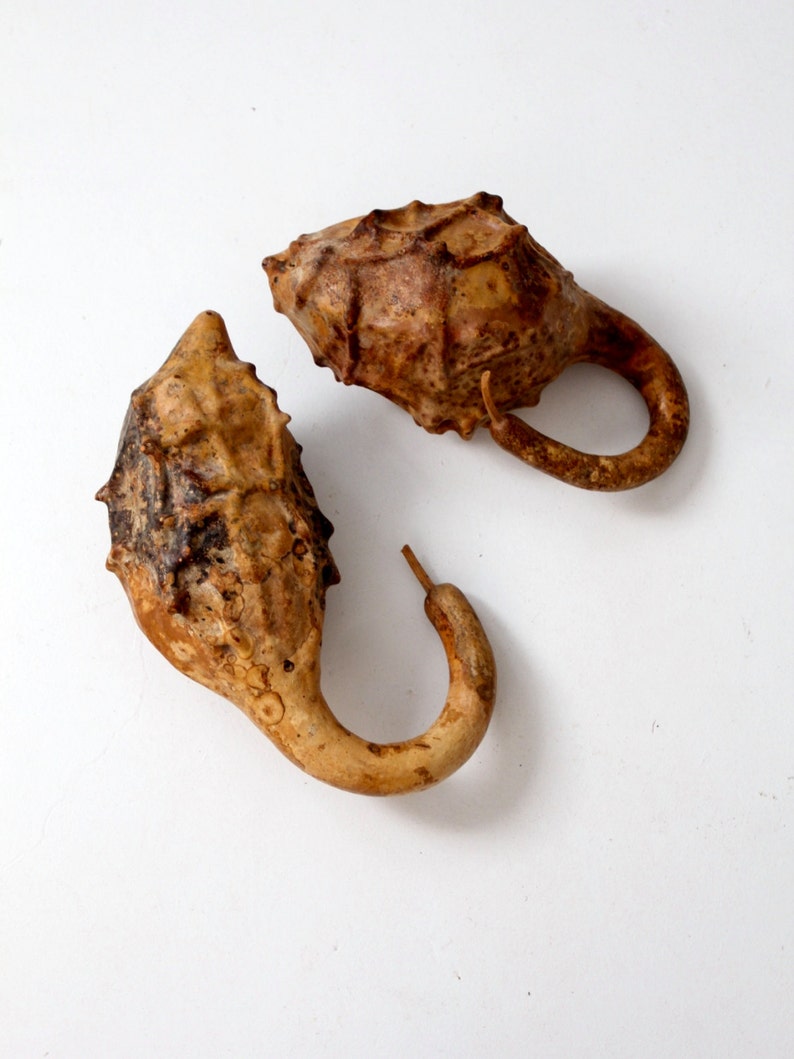 Vintage Gourds, Pair Maranka Cave Man's Club Gourd or Dolphin Gourds - Etsy