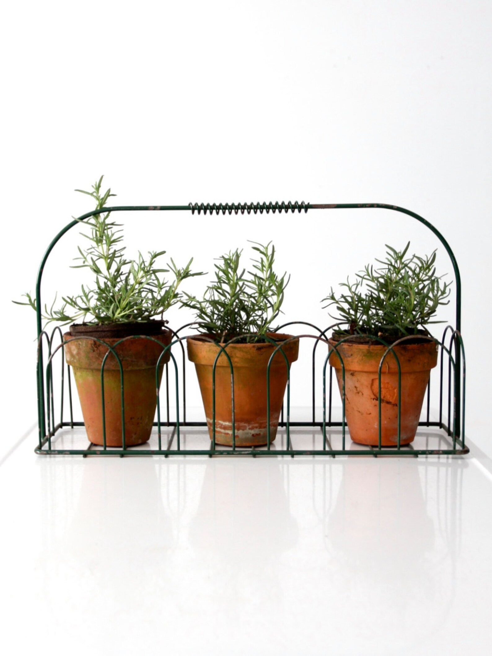 Vintage Wire Basket Green Metal Trug Handle Basket Garden - Etsy