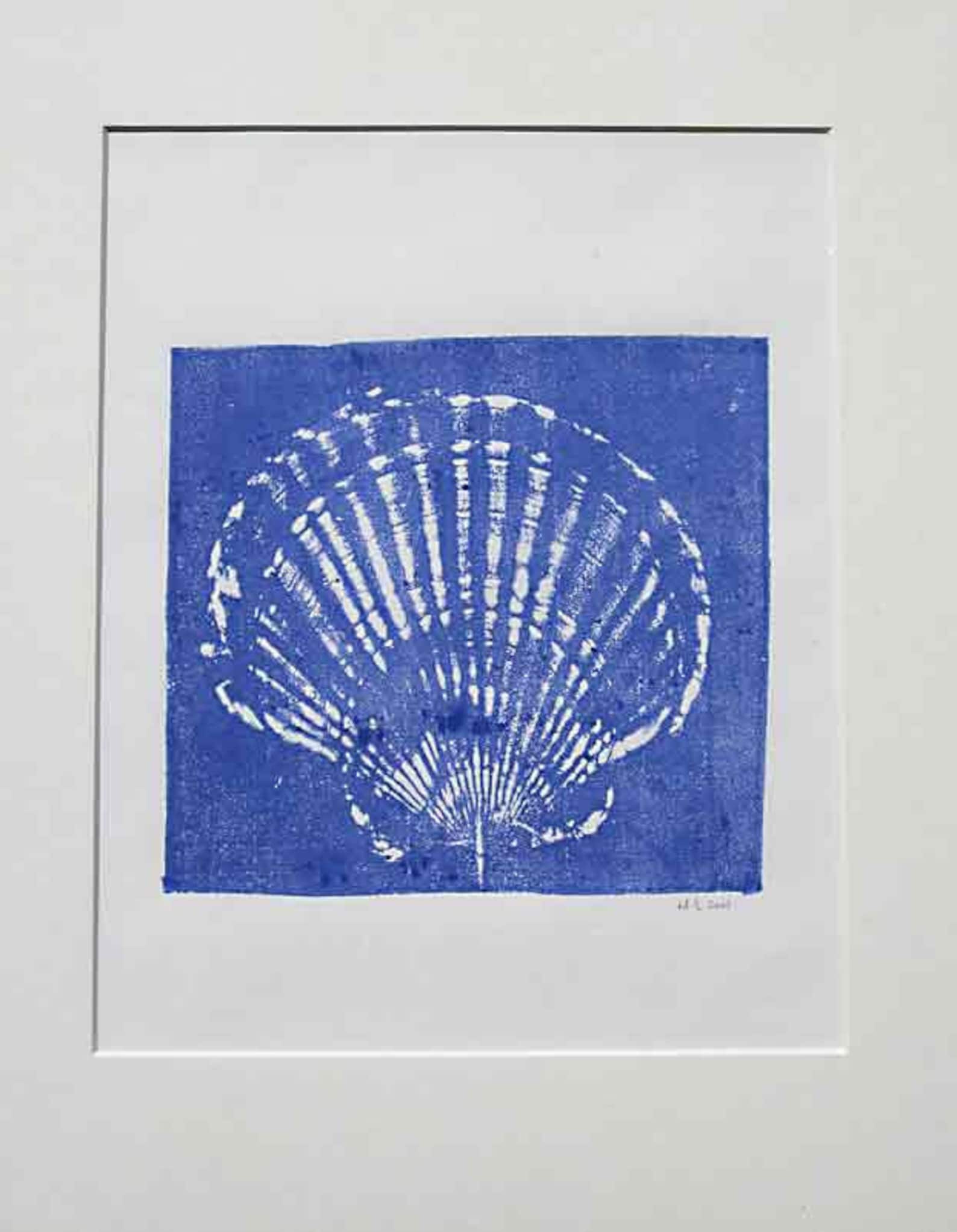 Giant Scallop Shell Print 11 X 14 Original Nature Relief - Etsy