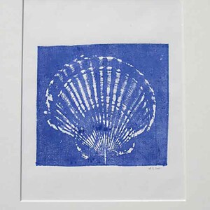 Giant Scallop Shell Print 11 X 14 Original Nature Relief - Etsy