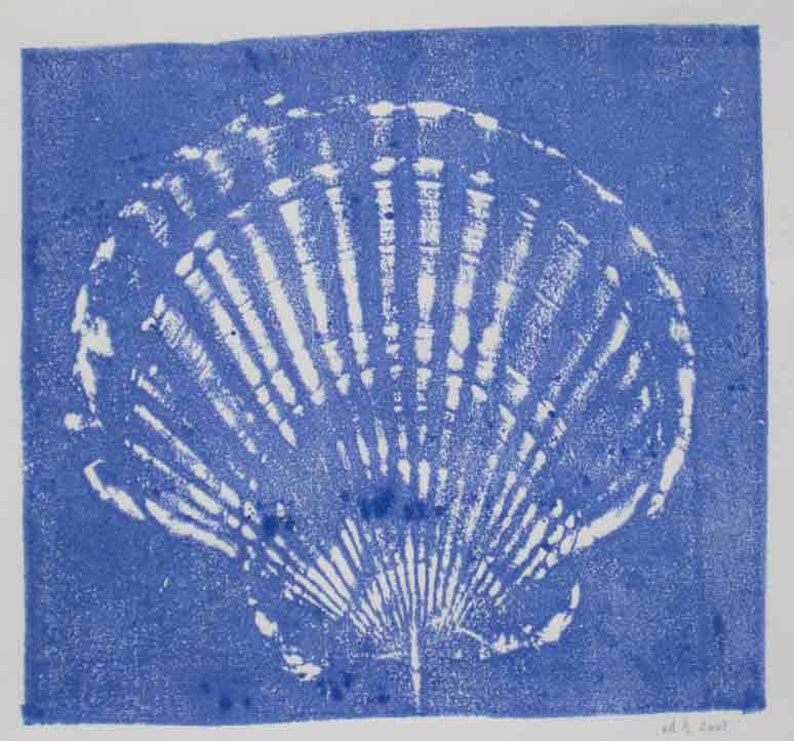 Giant Scallop Shell Print, 11 X 14, Original Nature Relief Print ...