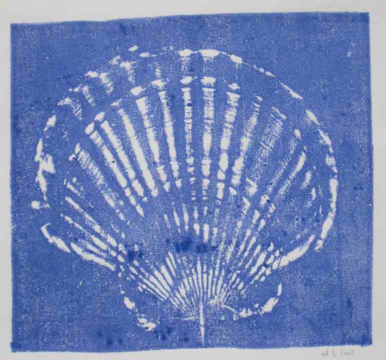 Giant Scallop Shell Print, 11 X 14, Original Nature Relief Print ...