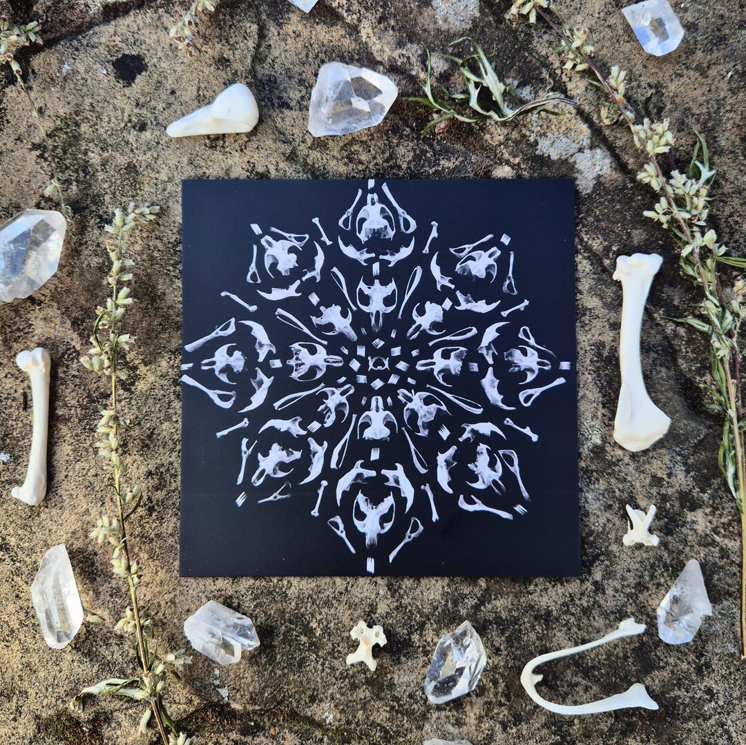 Mouse Bone Mandala Post Card Art Print, Memento Mori - Etsy