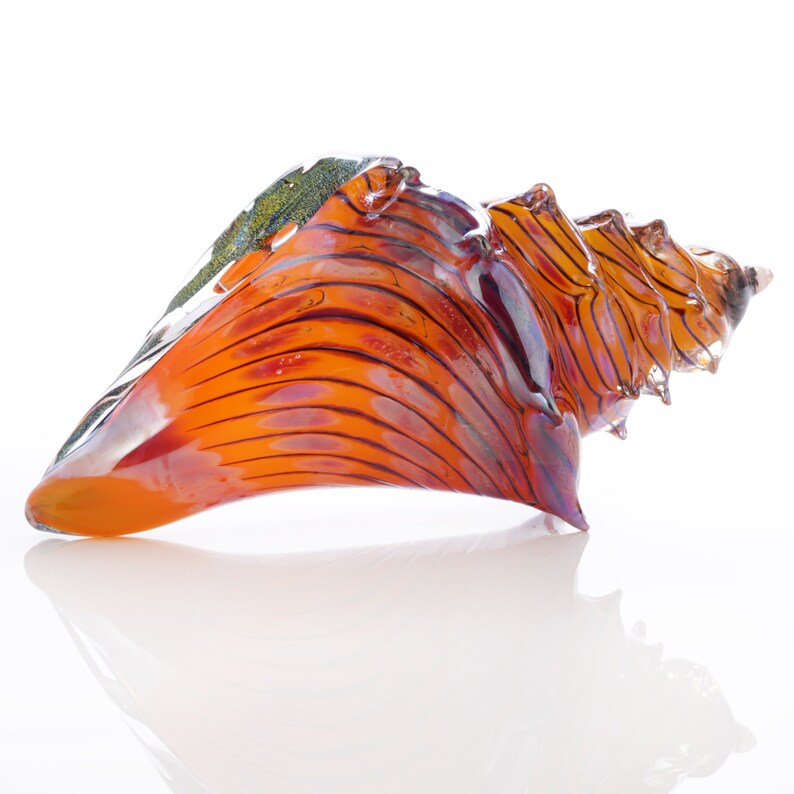 Coral Sea Shell Hand Blown | Etsy