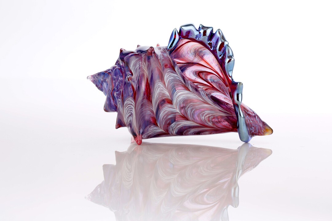 Pink/pastel Conch Shell - Etsy