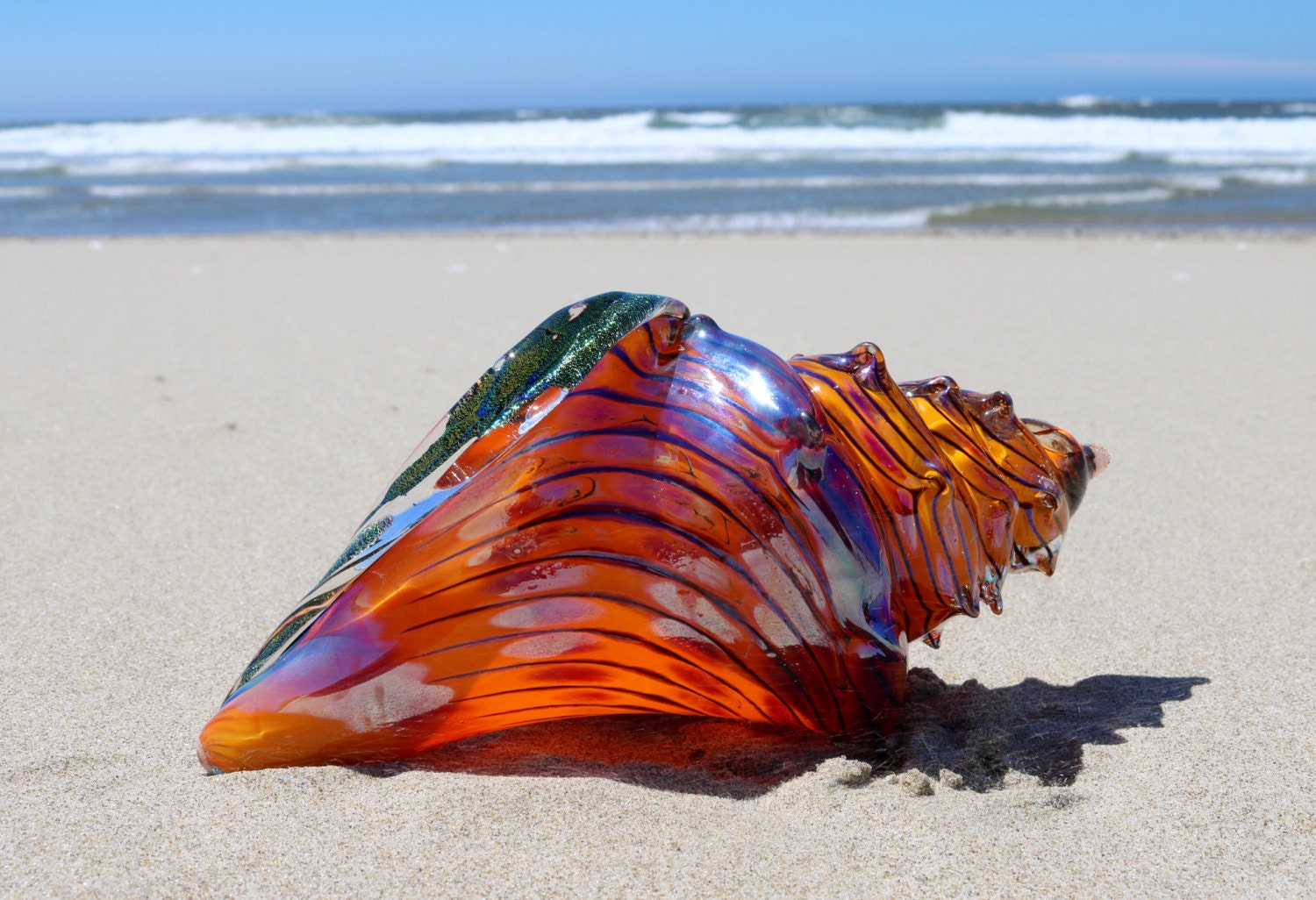 Coral Sea Shell Hand Blown | Etsy