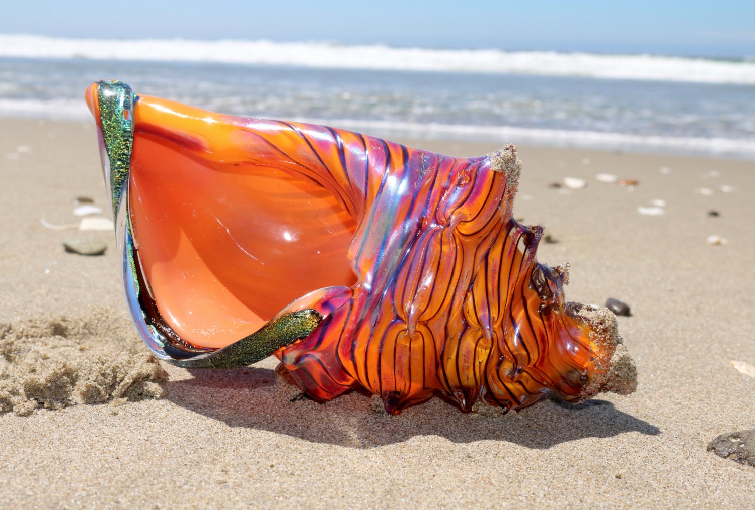 Coral Sea Shell Hand Blown | Etsy