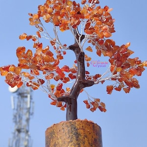 Red Carnelian Crystal Tree: Golden Wire Spiritual Healing Decor - Etsy