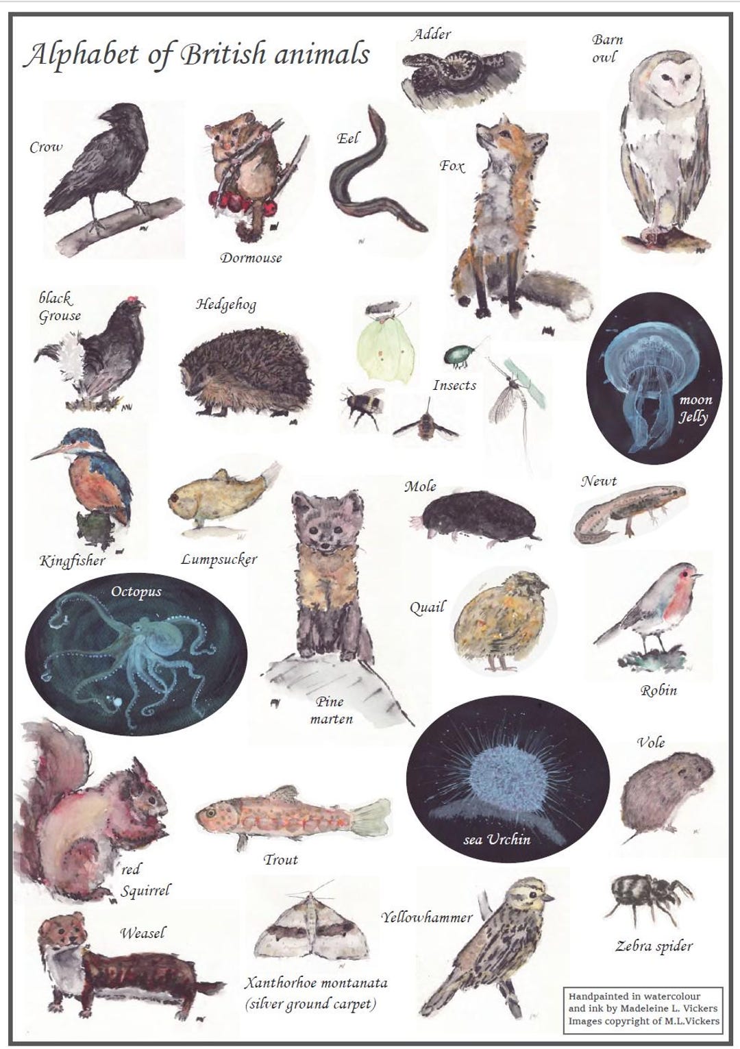 A3 Animal Alphabet Poster - Etsy UK