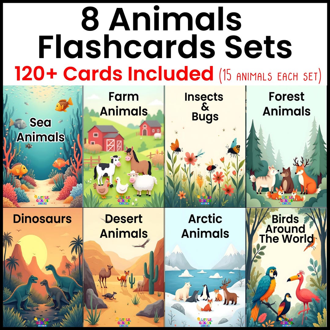Animal Flashcards Bundle – 8 Sets | Arctic, Farm, Jungle, Desert ...