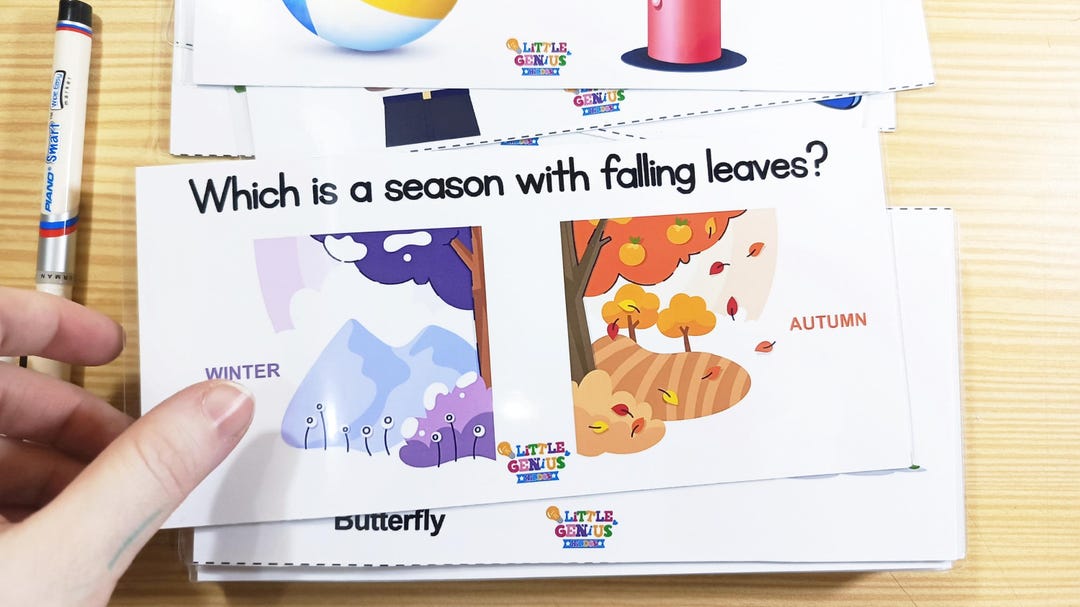 Wh-questions Flashcards | 51 Printable Cards | 2 Visual Options Each ...