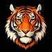Tiger Head, Digital Download, PNG Transparent & Halftone DTF File, High ...