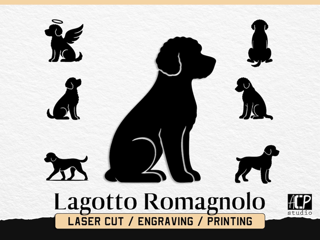 Lagotto Romagnolo Png, Svg, Dxf Bundle – 7 Romagna Water Dog Silhouette ...