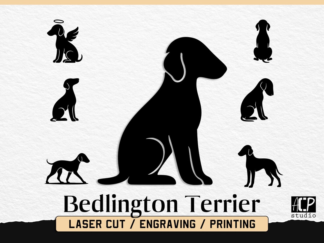 Bedlington Terrier Png, Svg, Dxf Bundle – 7 Rodbury Terrier Dogs ...